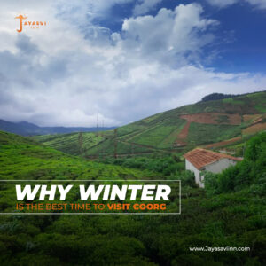 Why Winter is the Best Time to Visit Coorg